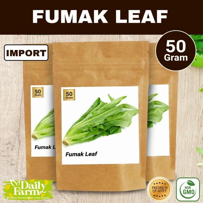 Jual Benih Sayur Fumak Leaf - Selada Wangi Import ( 50 Grm ) | Shopee ...