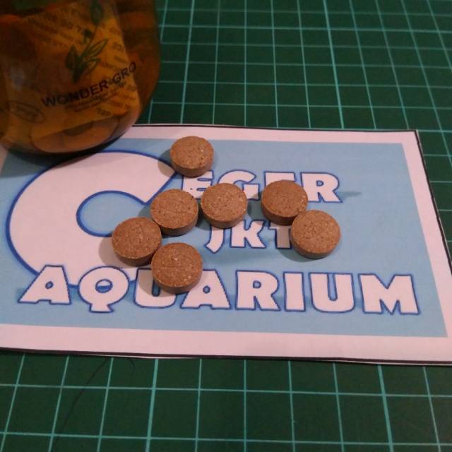 Jual Pupuk tancap wonder grow 10 butir | Shopee Indonesia