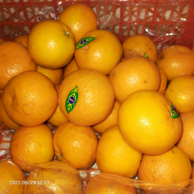 Jual Jeruk Mandarin Wogan/ Jeruk Wogam/ Jeruk Wokan/ Jeruk Wokam ...