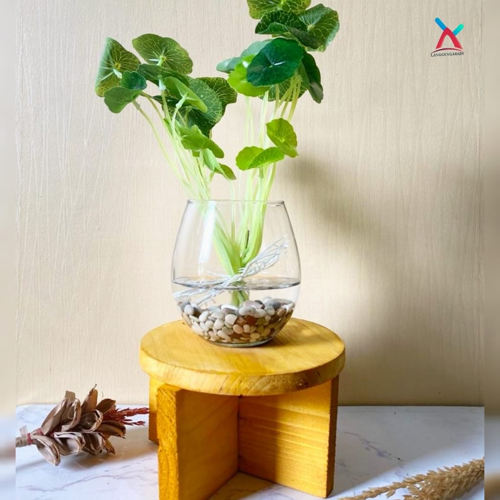 Jual [ 1 PAKET ] Vas Kaca Bulat | Standing Pot Kayu | Vas Kaca Estetik ...