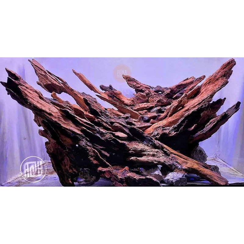 Jual KAYU RENTEK (MURAH BANGET) DRIFTWOOD AQUASCAPE AQUARIUM REFTIL ...