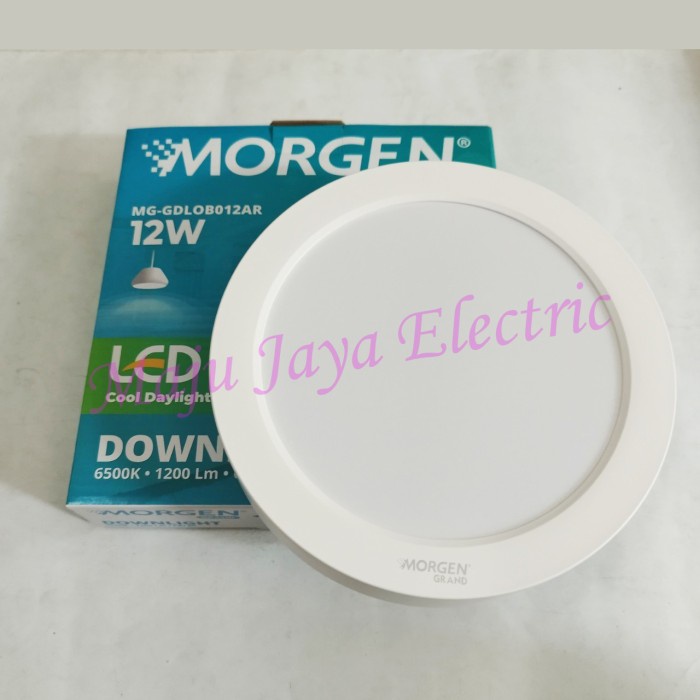 Jual Downlight LED Outbow Panel Lamp 12W Round Lampu 12Watt Bulat 12 Watt W | Shopee Indonesia