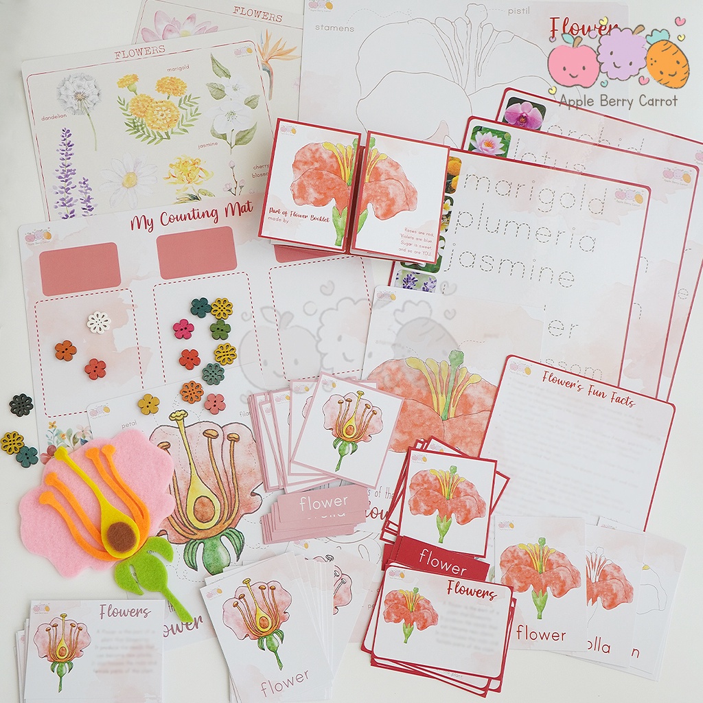 Jual MONTESSORI BOTANY SERIES - FLOWERS | Shopee Indonesia