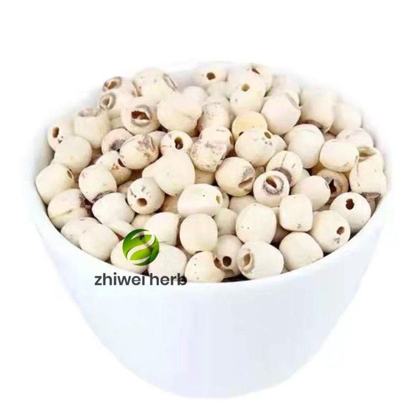 Jual 500gram Biji Teratai / Lotus Seed / Lien Zi/White Lotus seed ...