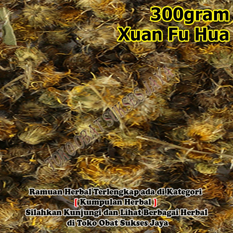 Jual [300gram] Xuan Fu Hua / Inula Flower - [ 旋覆花 ] - Inulae Flos ...