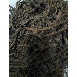 Jual Ki Urat Terlengkap & Harga Terbaru April 2024 | Shopee Indonesia