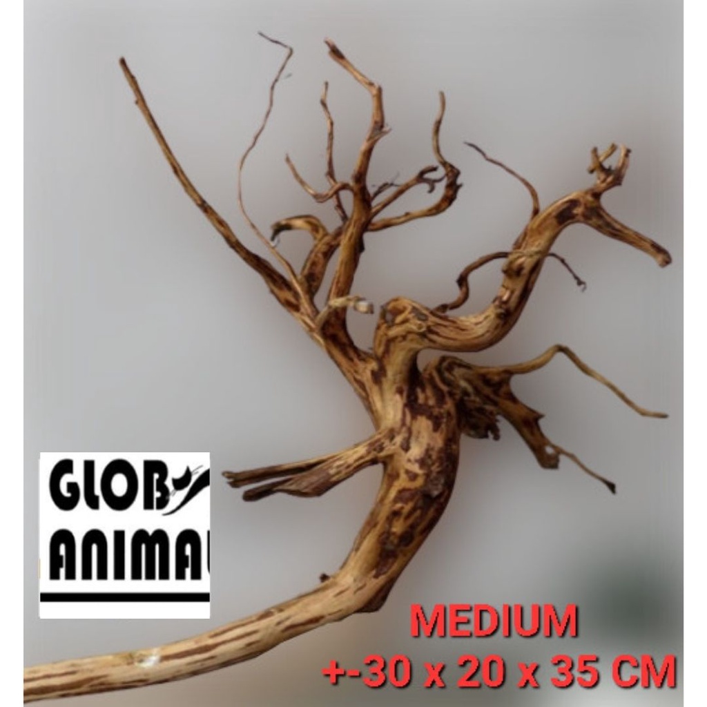 Jual AKAR RASAMALA MEDIUM kayu rasamala aquascape hiasan aquarium ...