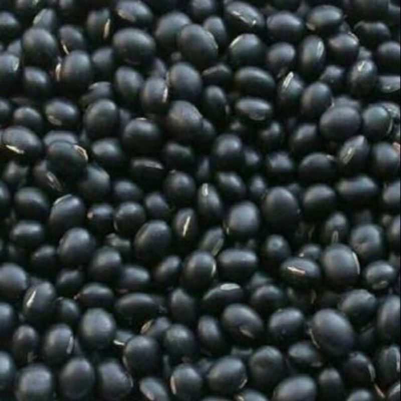 Jual 1 KG KEDELAI HITAM KEDELAI MALIKA | Shopee Indonesia