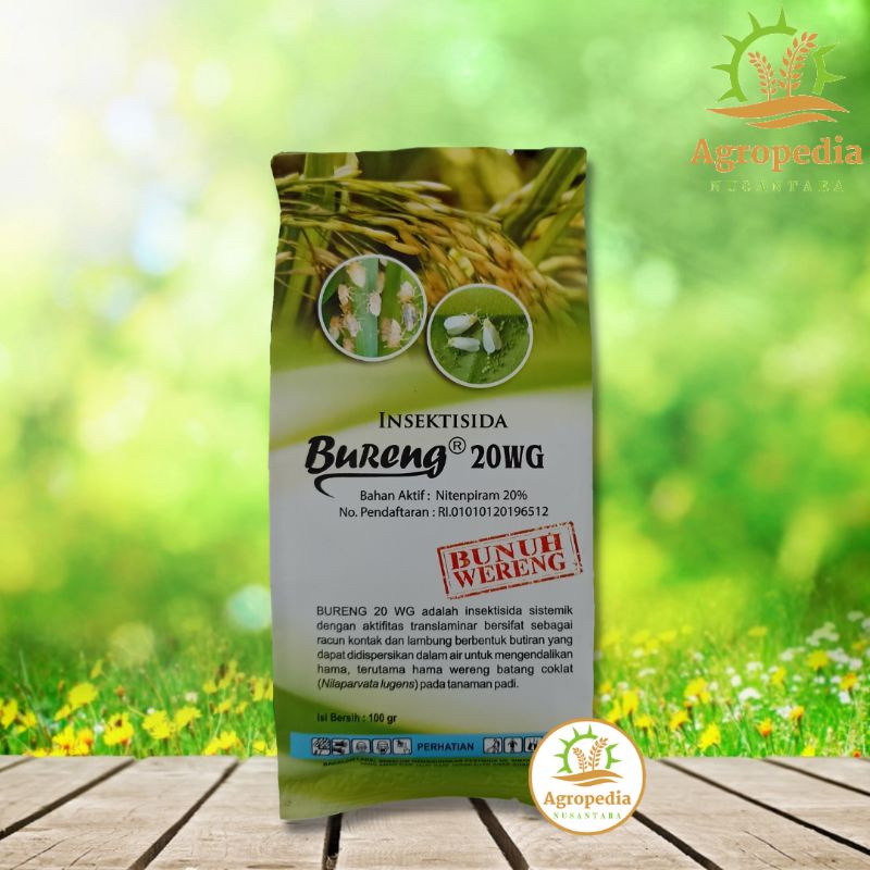 Jual Insektisida Bureng 100 gr Pembunuh Hama Wereng pada Tanaman Padi ...