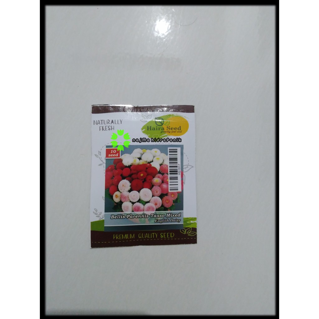 Jual Benih Bunga English Daisy Bellis Tasso Mix Pouch (Haira Seed ...