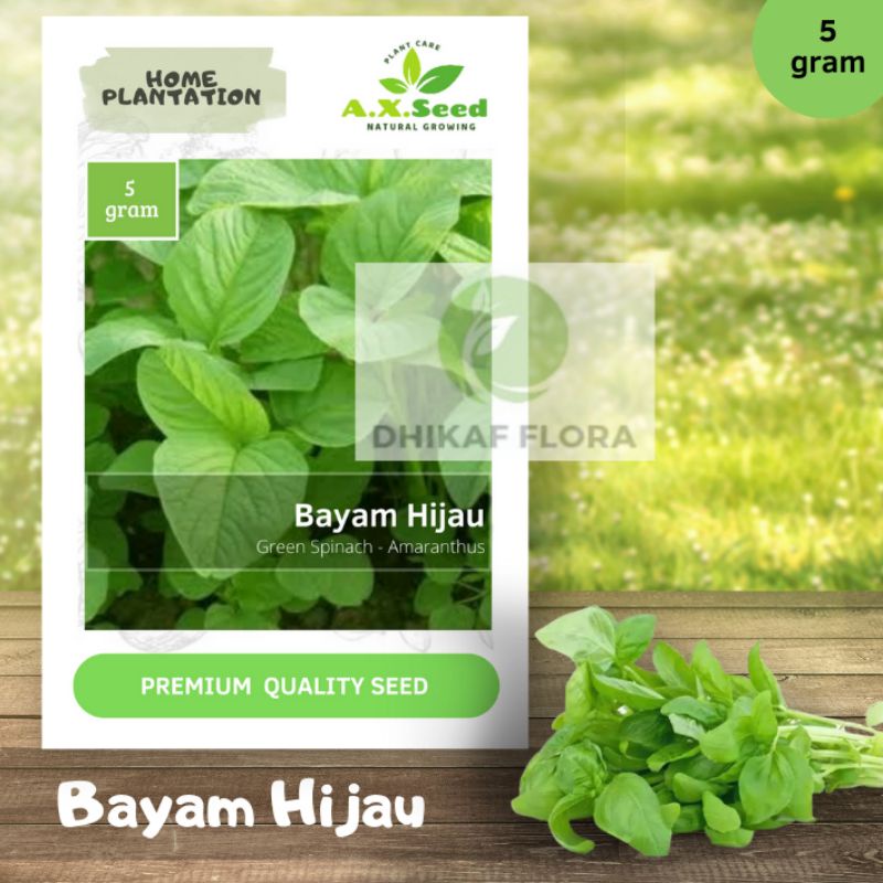 Jual Benih Bibit Bayam Hijau (AX Seed) | Shopee Indonesia