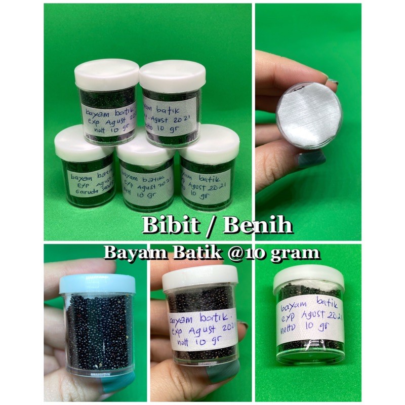 Jual Bibit benih bayam batik / bayam hijau 10 gram repack | Shopee ...