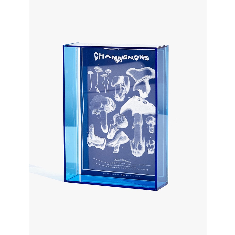 Jual Typo - Typo - A5 Acrylic Frame | Shopee Indonesia