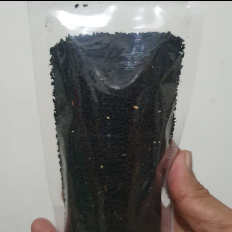 Jual Jinten Hitam BIJI Habbatussaudah Black Seed 500gr | Shopee Indonesia