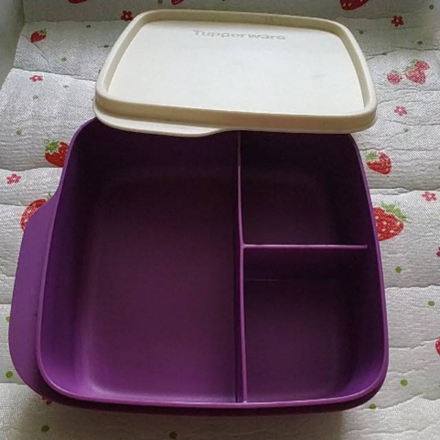 Jual Tupperware box makan | Shopee Indonesia