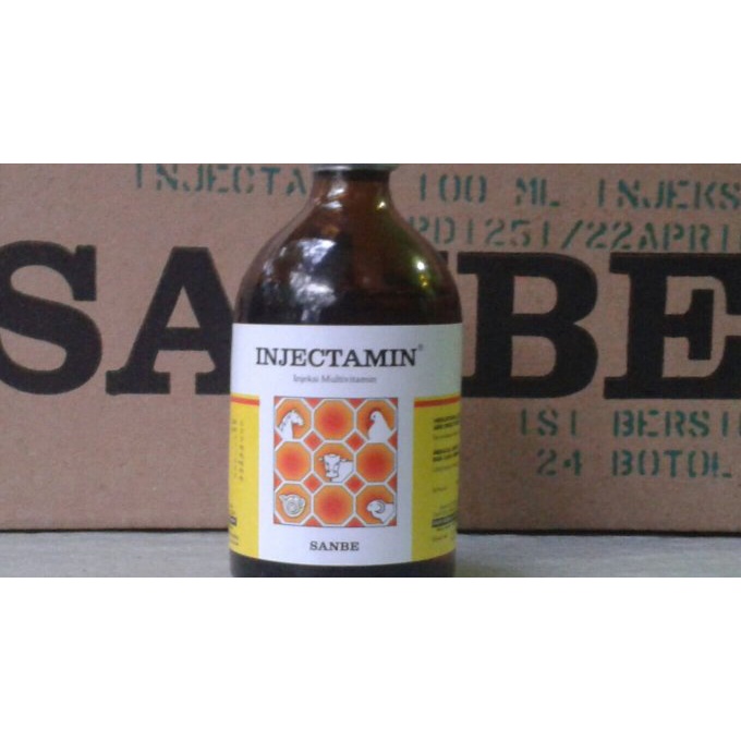 Jual INJECTAMIN 50ml MultiVitamin Injeksi Vitamin 50 ml | Shopee Indonesia