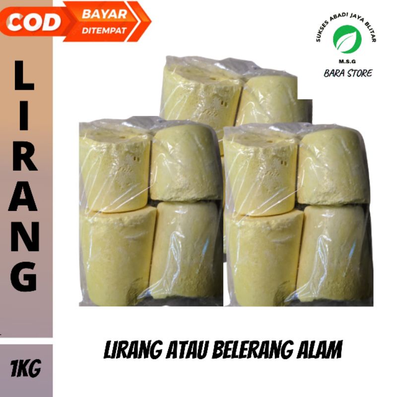 Jual BELERANG ATAU LIRANG ALAM 1kg | Shopee Indonesia