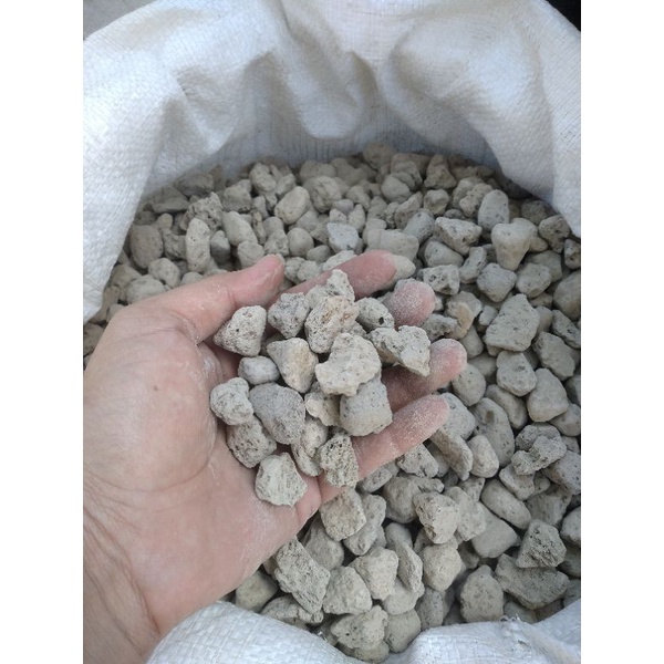 Jual Batu Apung Pumice Stone Kecil u Media Filter Aquarium Media Tanam ...