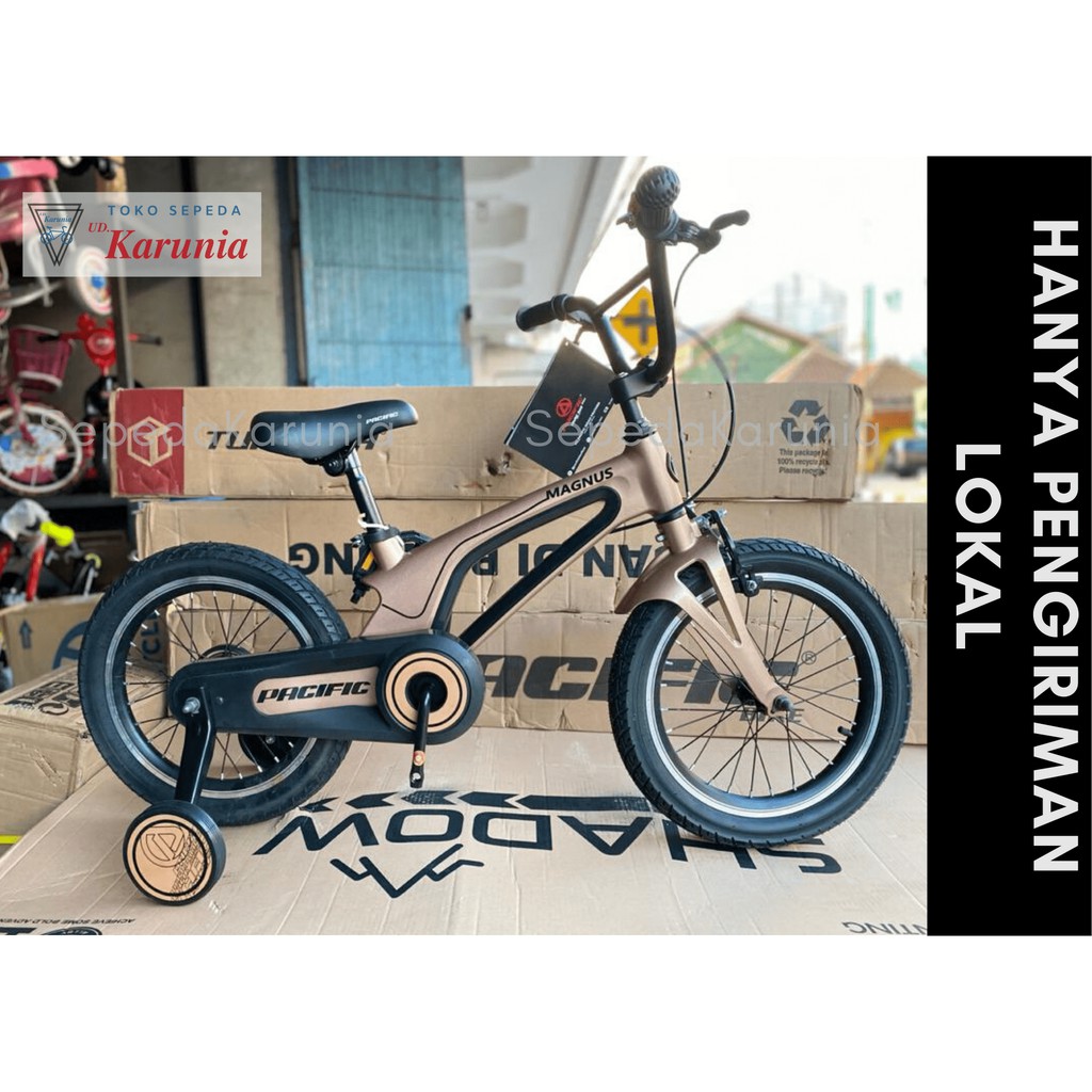 Jual Sepeda Anak Pacific Magnus BMX Magnesium 16 Inch | Shopee Indonesia