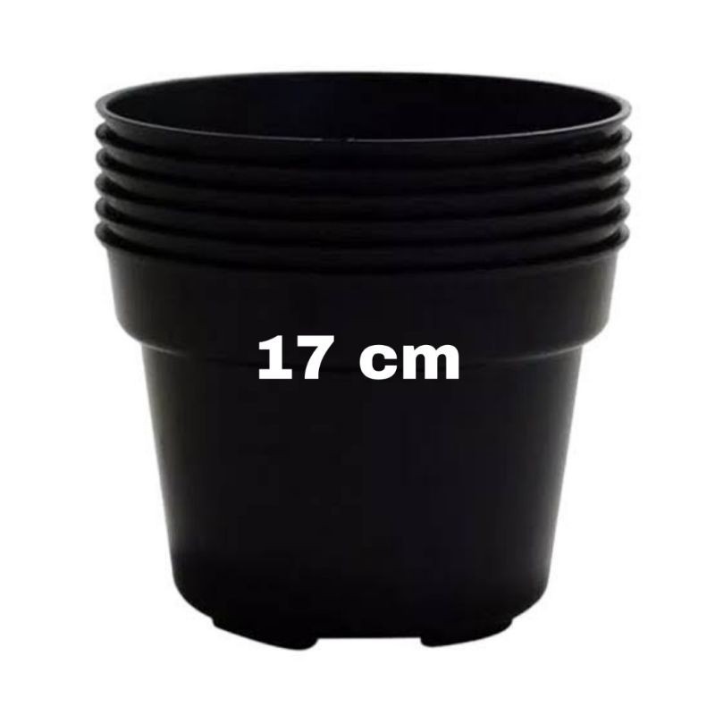 Jual POT Hitam ukuran 17cm | Shopee Indonesia