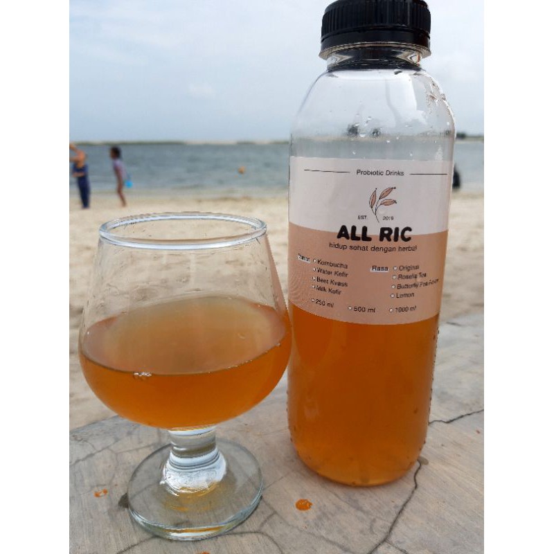 Jual kombucha original 500ml siap minum | Shopee Indonesia