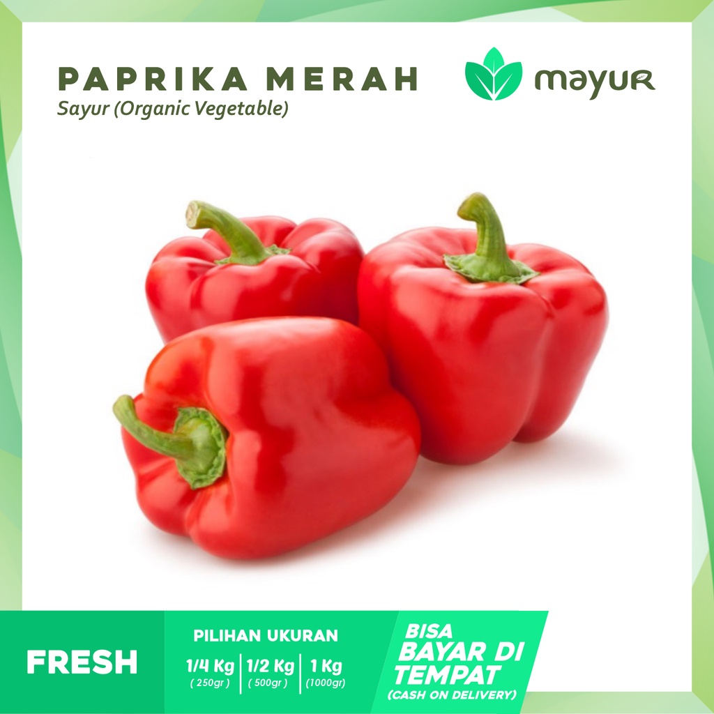 Jual Paprika Merah Segar ( 250gr | 500gr | 1kg ) | Shopee Indonesia