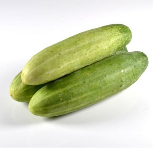 Jual Timun Lokal 1Kg | Shopee Indonesia