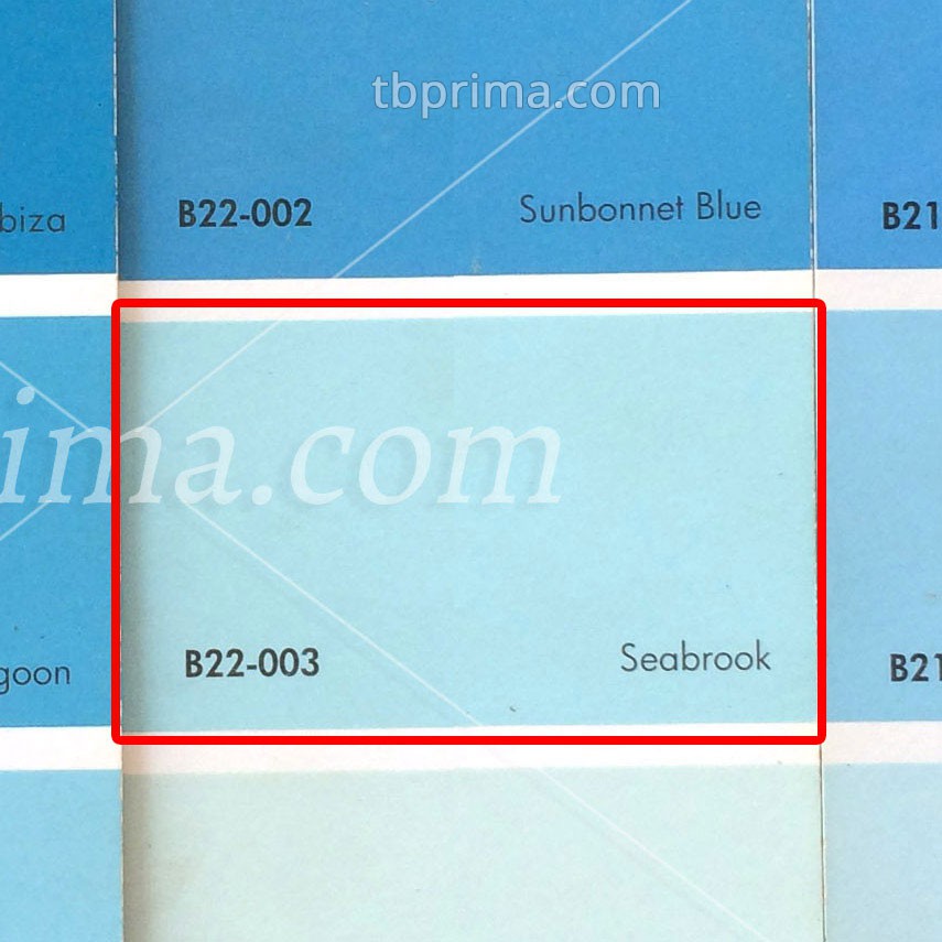 Jual No Drop Tinting B22-003 Seabrook 1 kg | Shopee Indonesia