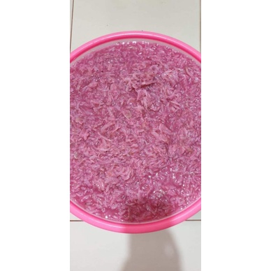 Jual cincalok/ hakoi asli khas Pemangkat kalbar 500gr | Shopee Indonesia