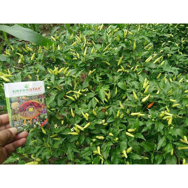 Jual Pupuk Greenstar Nasa / Pupuk Green Star | Shopee Indonesia