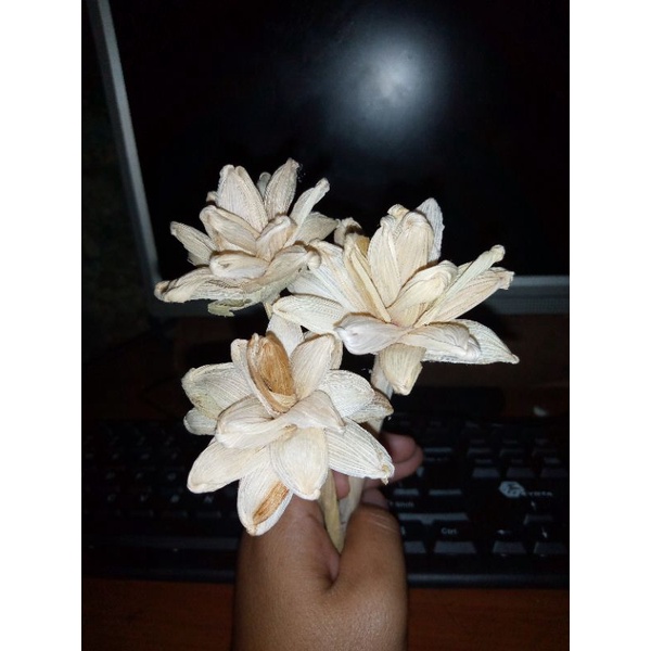 Jual Bunga Dari Kulit Jagung Kerajinan Shopee Indonesia
