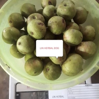 Jual Buah Loa Terlengkap & Harga Terbaru Agustus 2024 | Shopee Indonesia