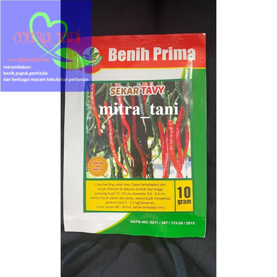 Jual Benih Cabai Keriting SEKAR TAVY isi 10gr dari PANCA PRIMA MANDIRI ...
