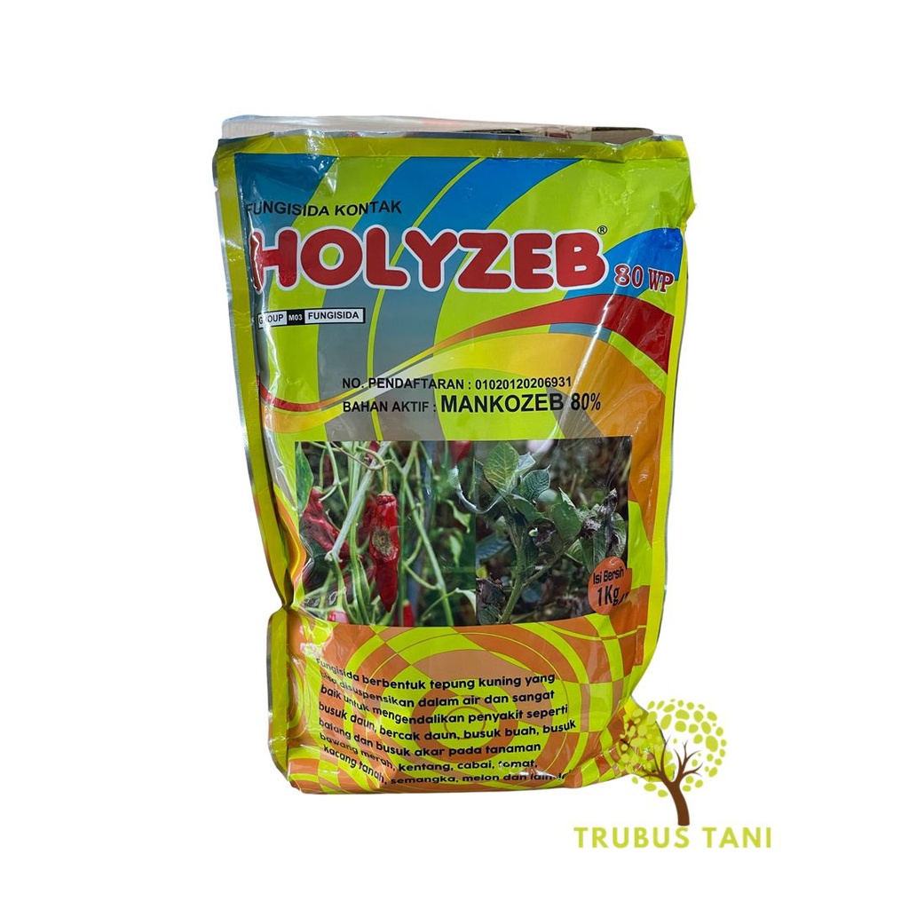 Jual FUNGISIDA HOLYZEB MANCOZEB 80WP | Shopee Indonesia