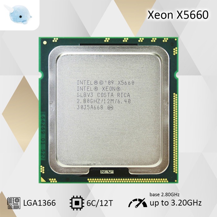 Jual Intel Xeon X5660 Processor 3.20GHz LGA 1366 Processor CPU Second ...