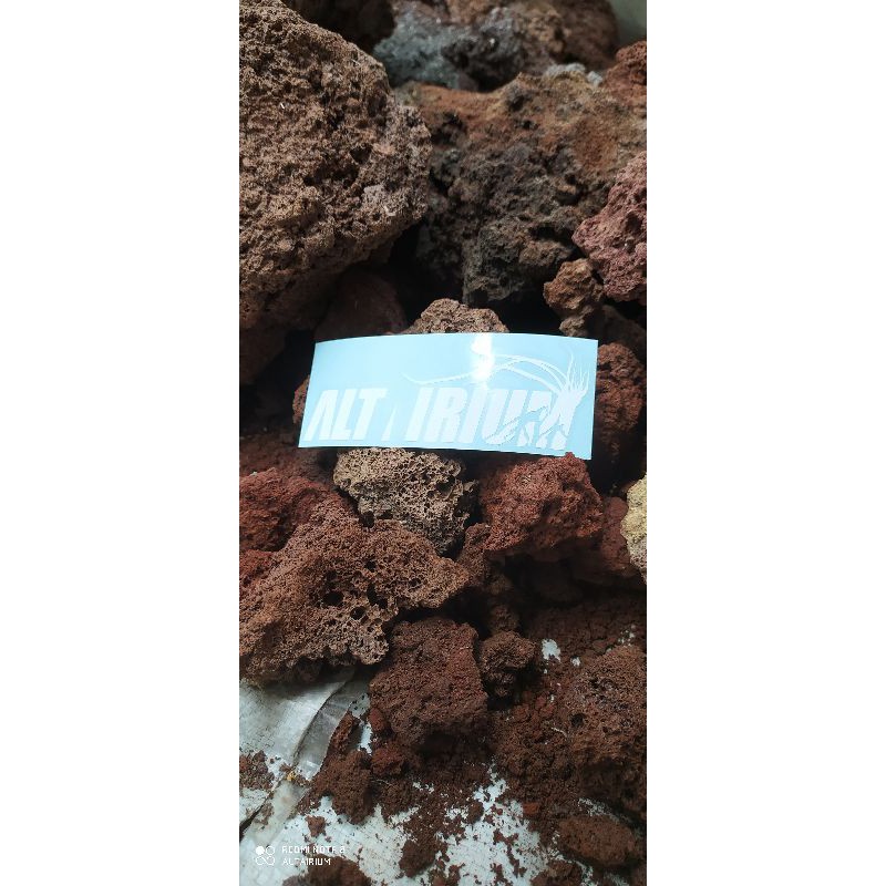Jual Batu Lava, Lava Rock Aquascape Merah Murah per kg | Shopee Indonesia
