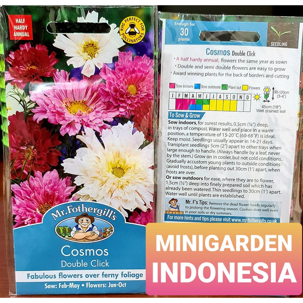 Jual Benih Bunga Cosmos Double Click PACK 30 BIJI mr. fothergills benih ...