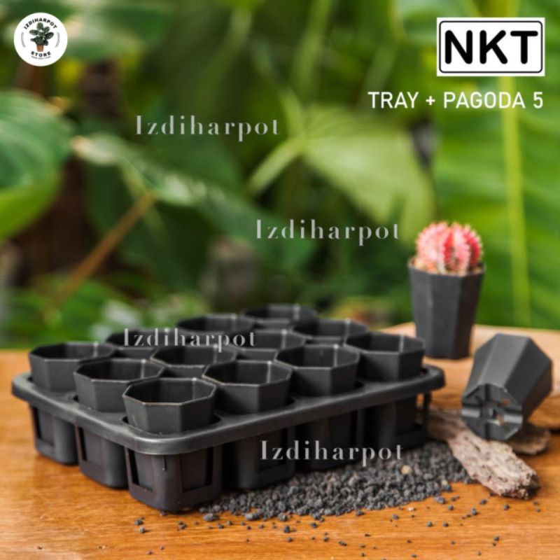 Jual 1 set Tray + POT BUNGA NKT PAGODA MINI 5CM HITAM | tray semai ...