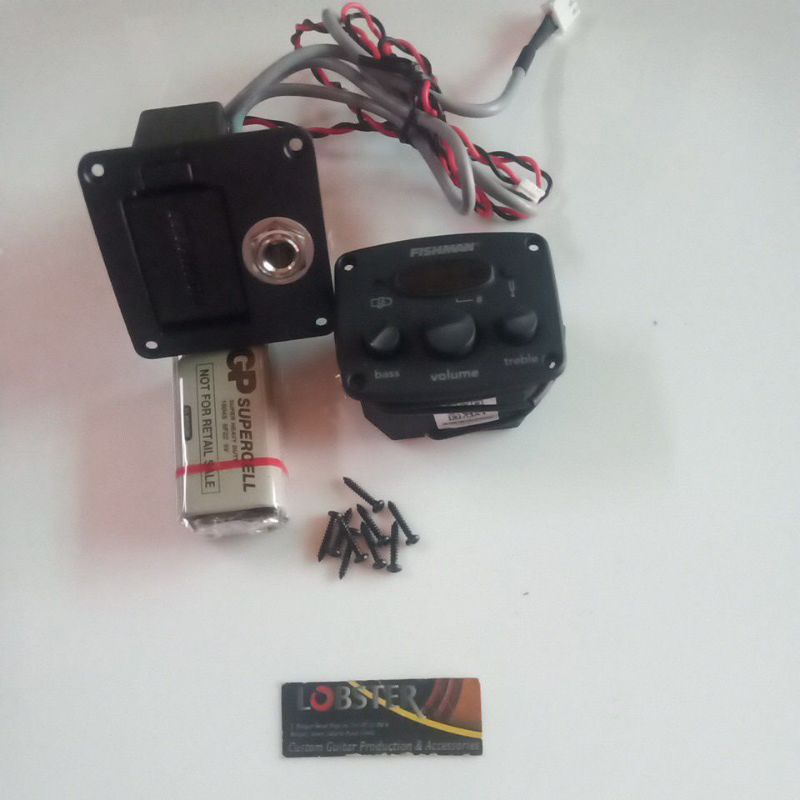 Jual Original Fishman isys Mini Equaliser Preamp tuner fishman | Shopee ...