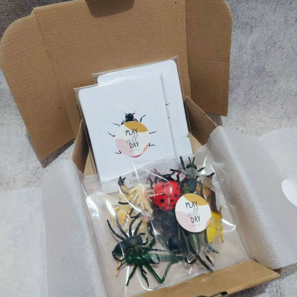 Jual Insect Box Set / Replica & 3 Part Card of Insect / Montessori ...