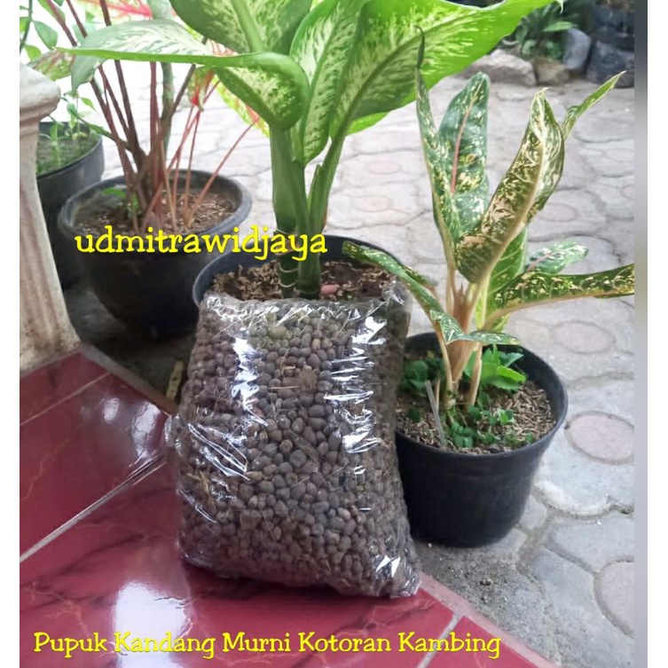 Jual KOTORAN KAMBING Pupuk Kandang murni KOHE pupuk media tanam kemasan ...