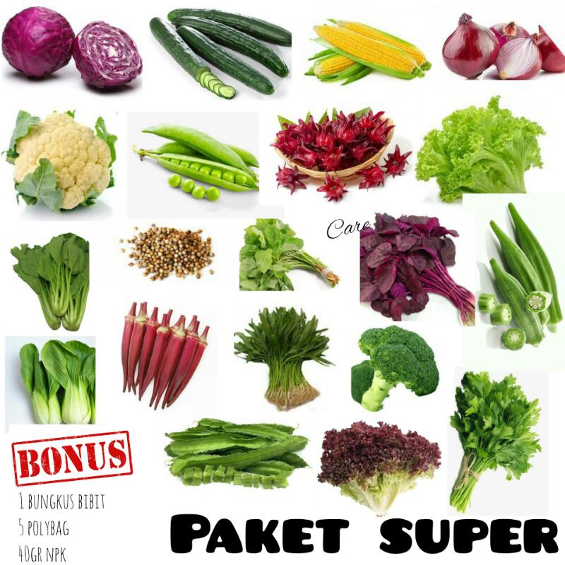 Jual Pak Su (Paket Super) | Shopee Indonesia