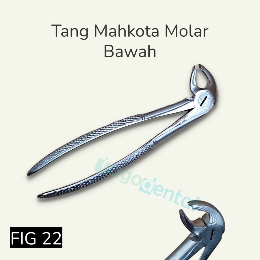 Jual DENTAL TANG CABUT GIGI DEWASA SATUAN TOOTH FORCEP / FORCEPS / TANG ...