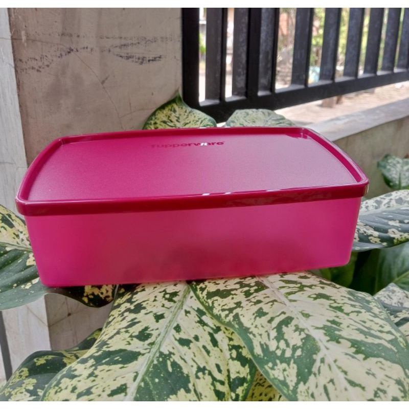 Jual Tupperware Promo, Delly Keeper Tupperware, Pak And Stor Tupperware ... Jual Tupperware Promo, Delly Keeper Tupperware, Pak And Stor Tupperware ...