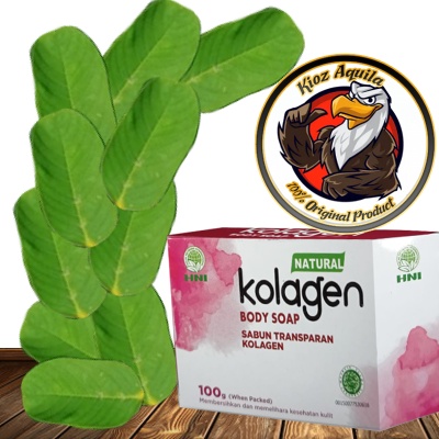 Jual Paketan Sabun Kolagen + Daun Gelenggang Ketepeng Cina 10 lembar ...