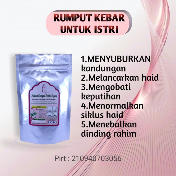Jual [ORI] Rumput Kebar Papua / Penyubur Kandungan untuk Istri ...