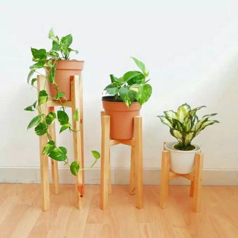 Jual Standing planter Pot kayu jati belanda tempat vas bunga | Shopee ...