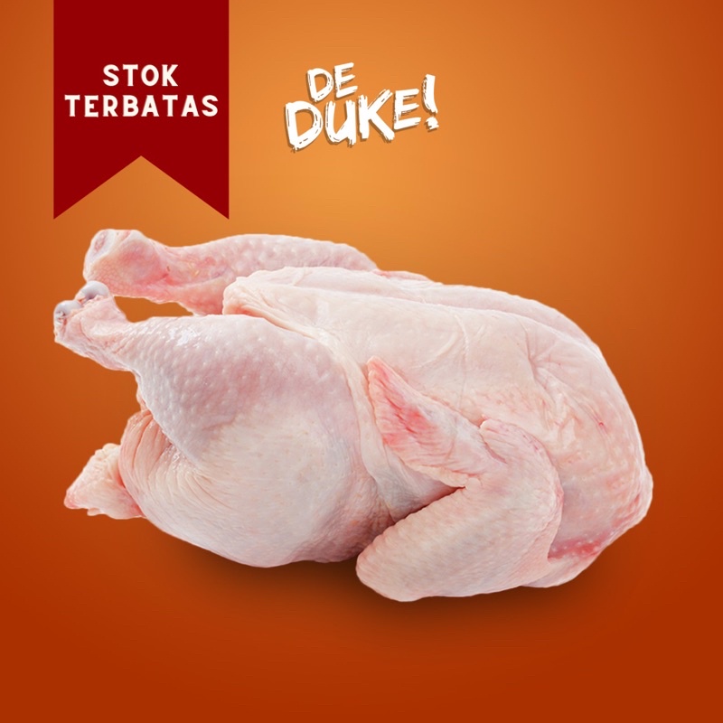 Jual Ayam Karkas Broiler / Ayam Utuh 500-1300Gram | Shopee Indonesia Jual Ayam Karkas Broiler / Ayam Utuh 500-1300Gram | Shopee Indonesia