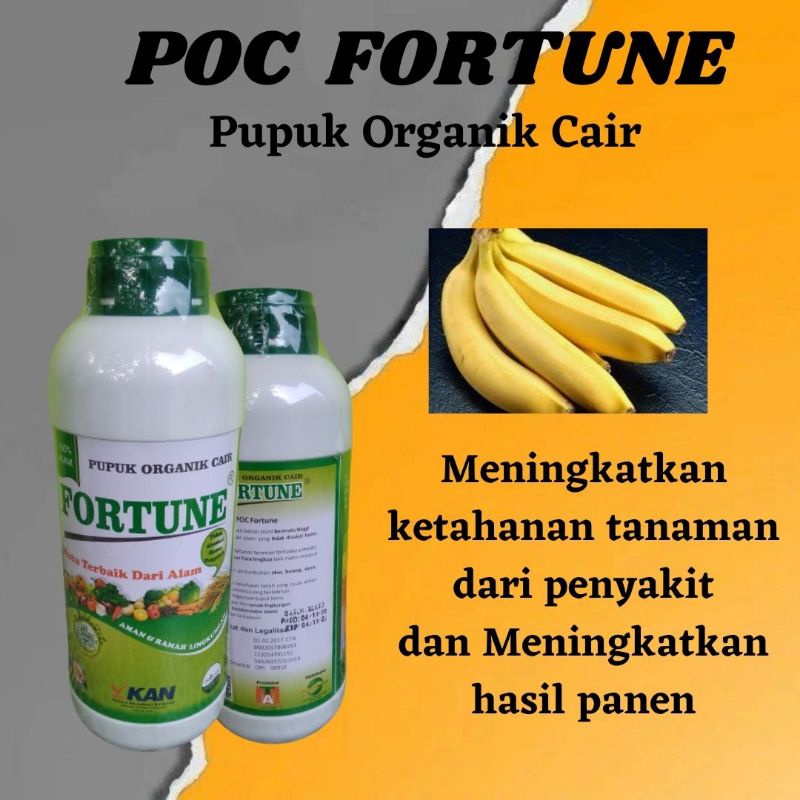 Jual Pupuk Cair Terbaik Untuk Buah Pisang POC Fortune Agar Buahnya ...