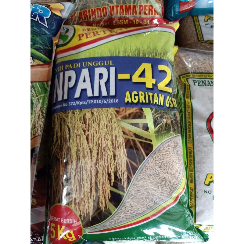 Jual Benih Padi Inpari 42 Agritan Bibit Padi Unggul | Shopee Indonesia